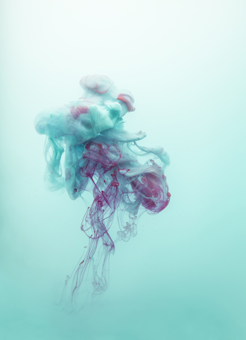 sea – Jimmy welch
