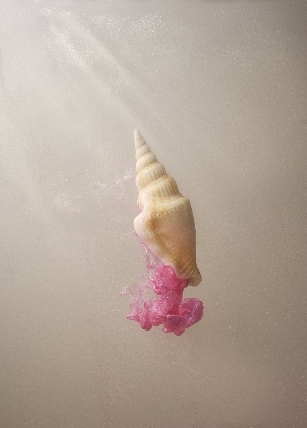 sea – Jimmy welch
